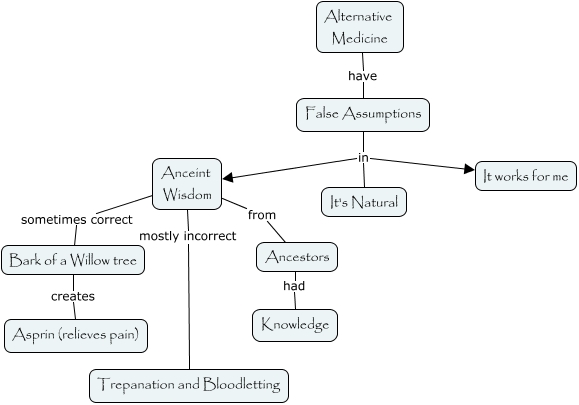 Skep Doc Concept Map